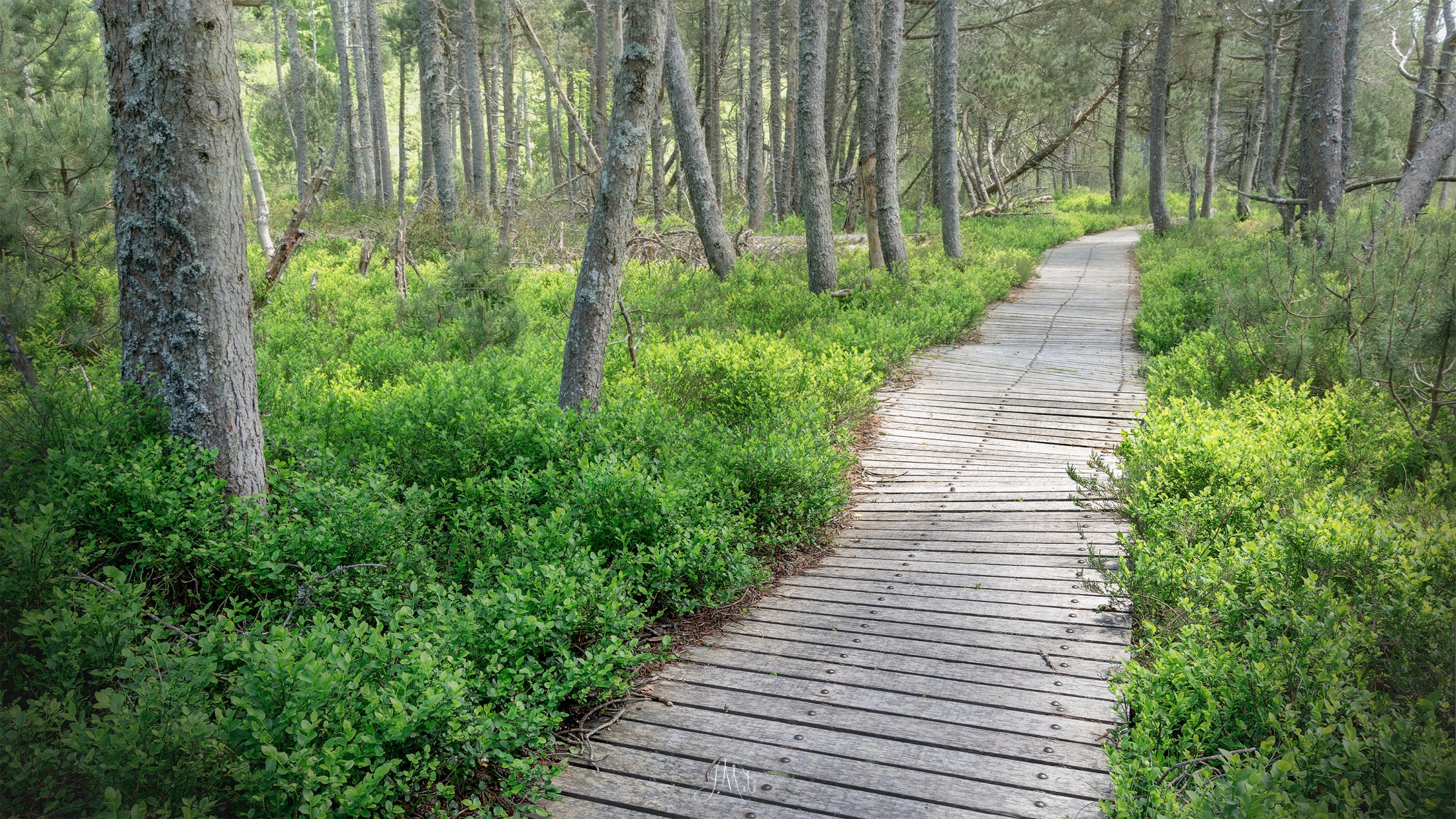 Nature - Instant Nature