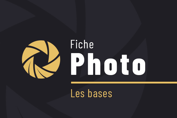 Comprendre la sensibilité ISO en photographie